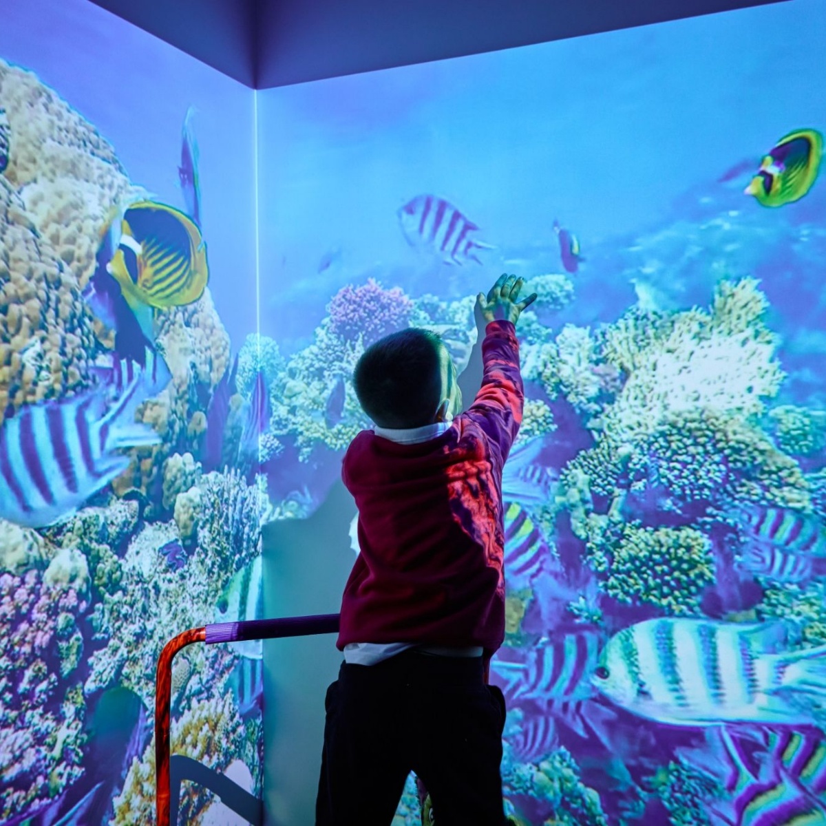 Maltby Redwood - New sensory rooms open at two Maltby Learning Trust primary schools